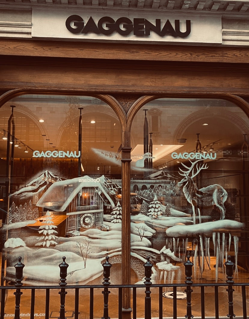 Gallery – Snow Windows