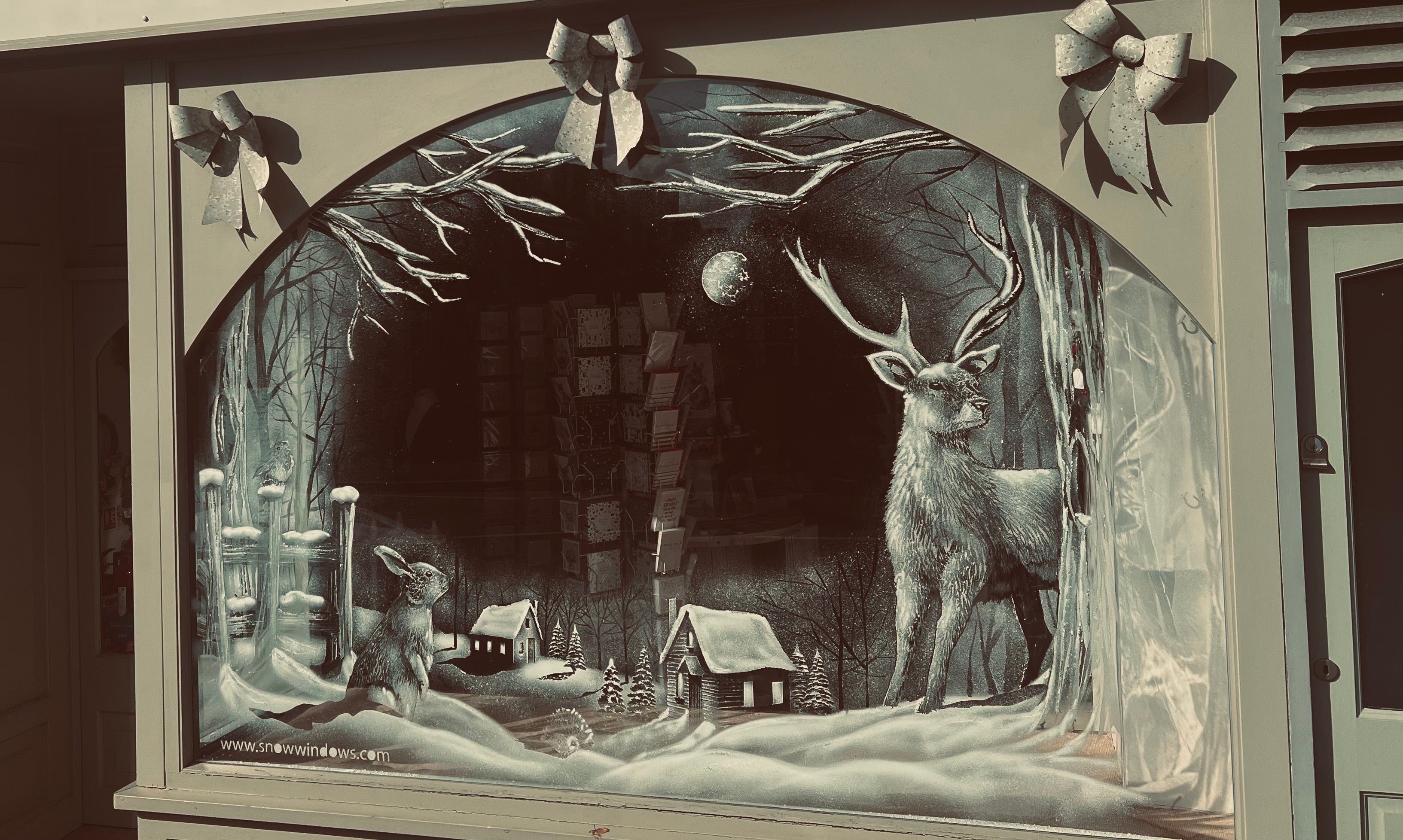 Gallery – Snow Windows